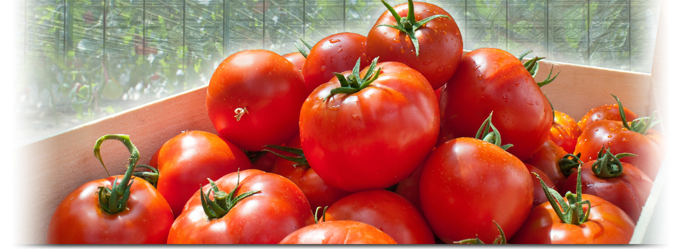 Contact Renuable Resources manufacturers of Grassoline Brand organic ...
